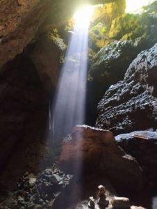 “Exploring the Enchanting World of the Bat’s Cave” - What The Nepal