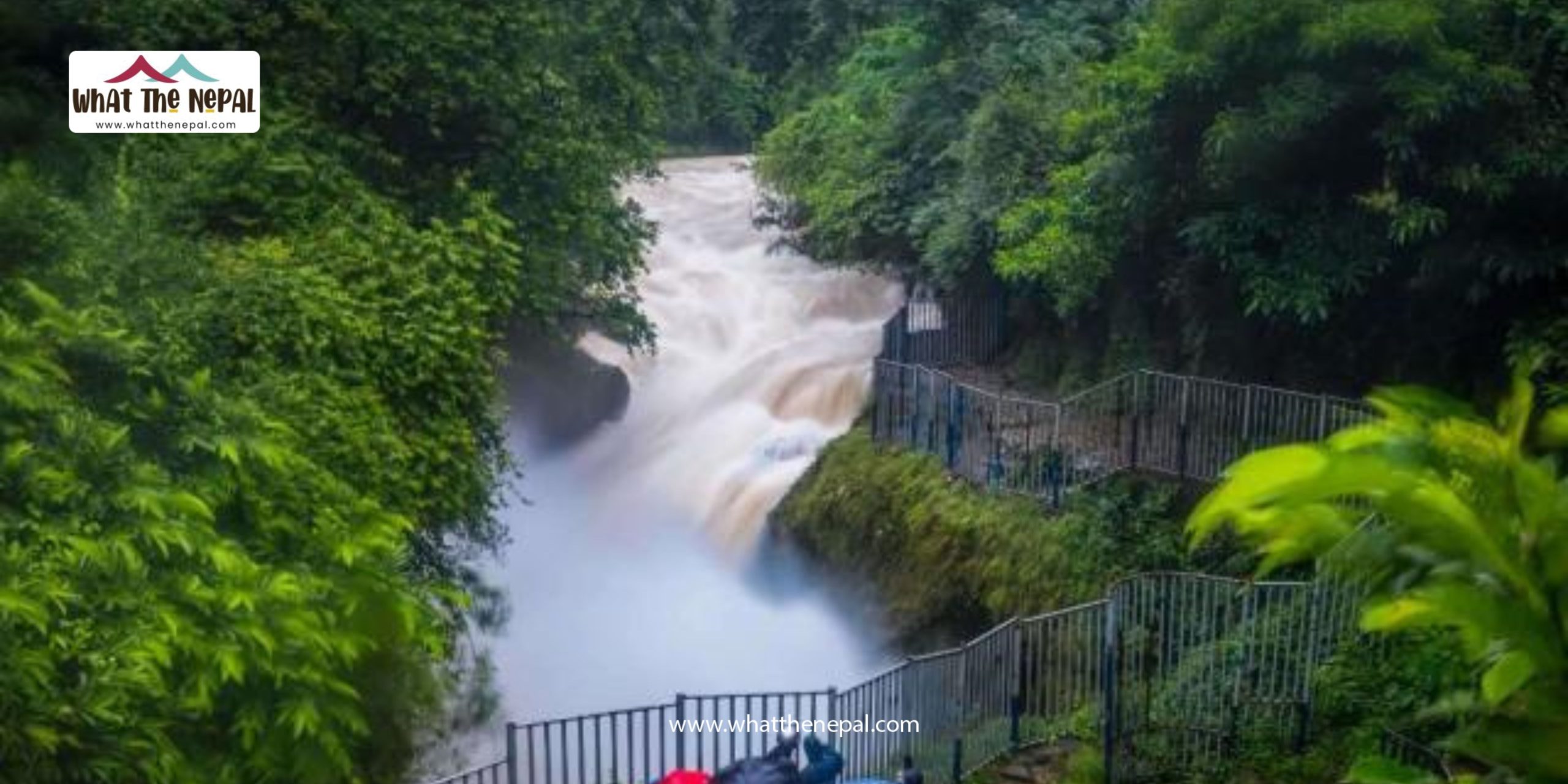 Discover the tragic history and unique beauty of Davis Falls - What The ...