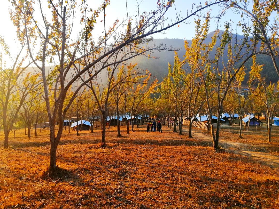 Discovering Chitlang: A Complete Guide and Major Highlights - What The ...