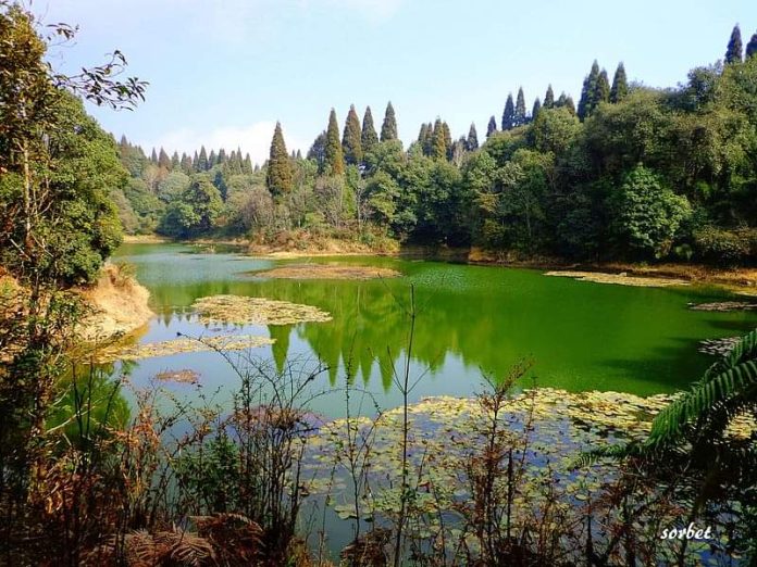 Illam: All you need to know - What The Nepal