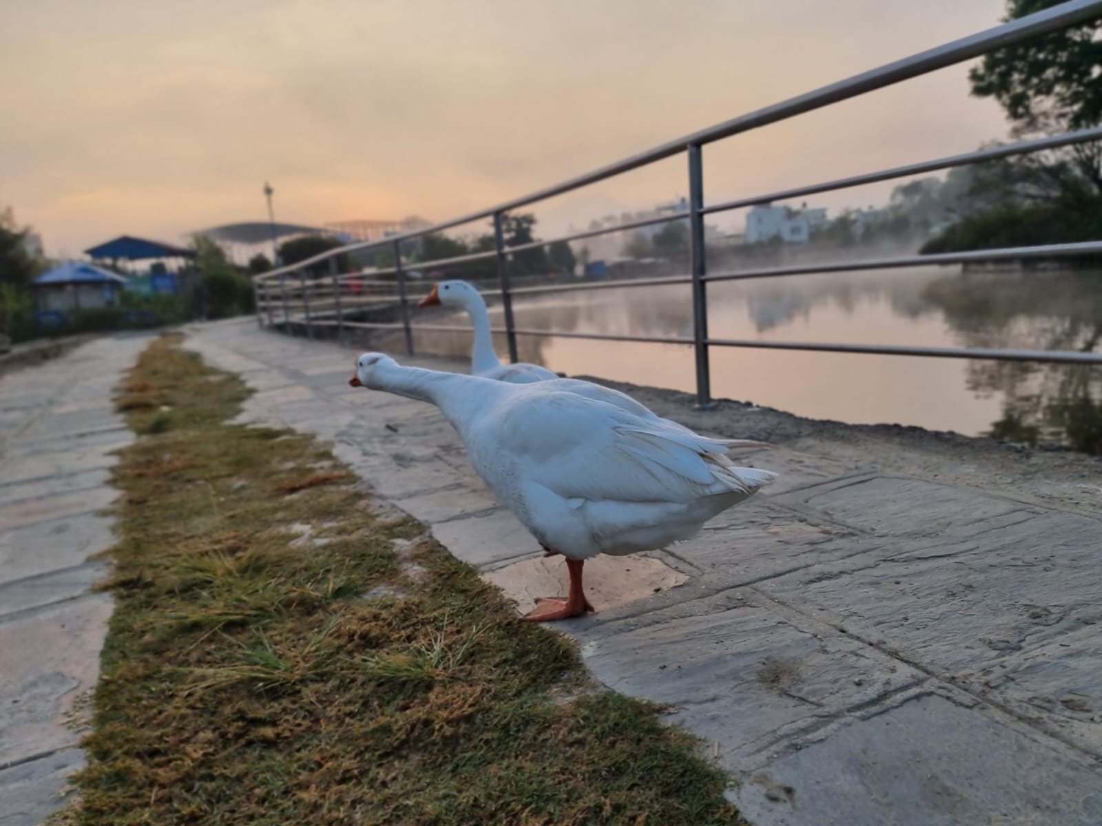 Taudaha Lake: All you need to know - What The Nepal