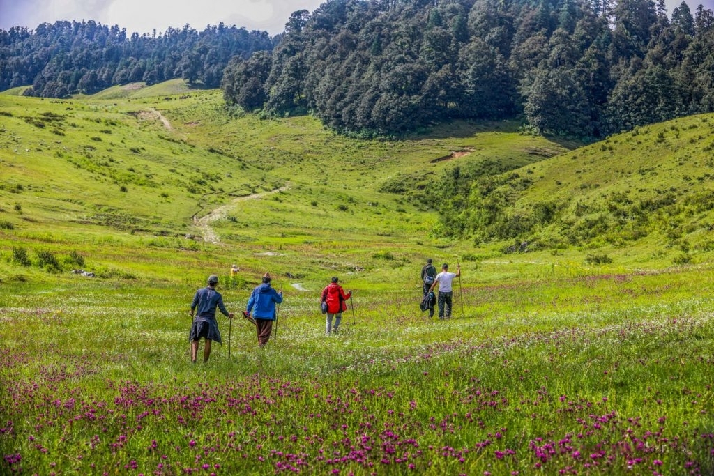 Khaptad National Park “A secret treasure in Nepal” - What The Nepal