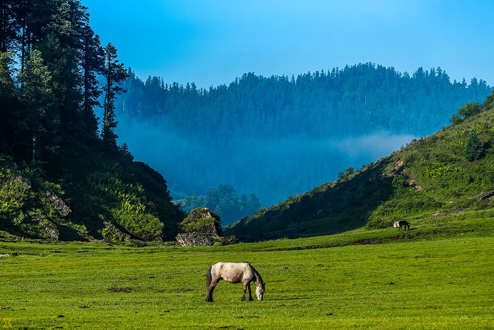 Khaptad National Park “A secret treasure in Nepal” - What The Nepal