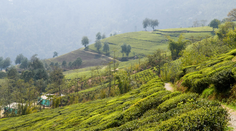 Places to know before visiting Jhapa