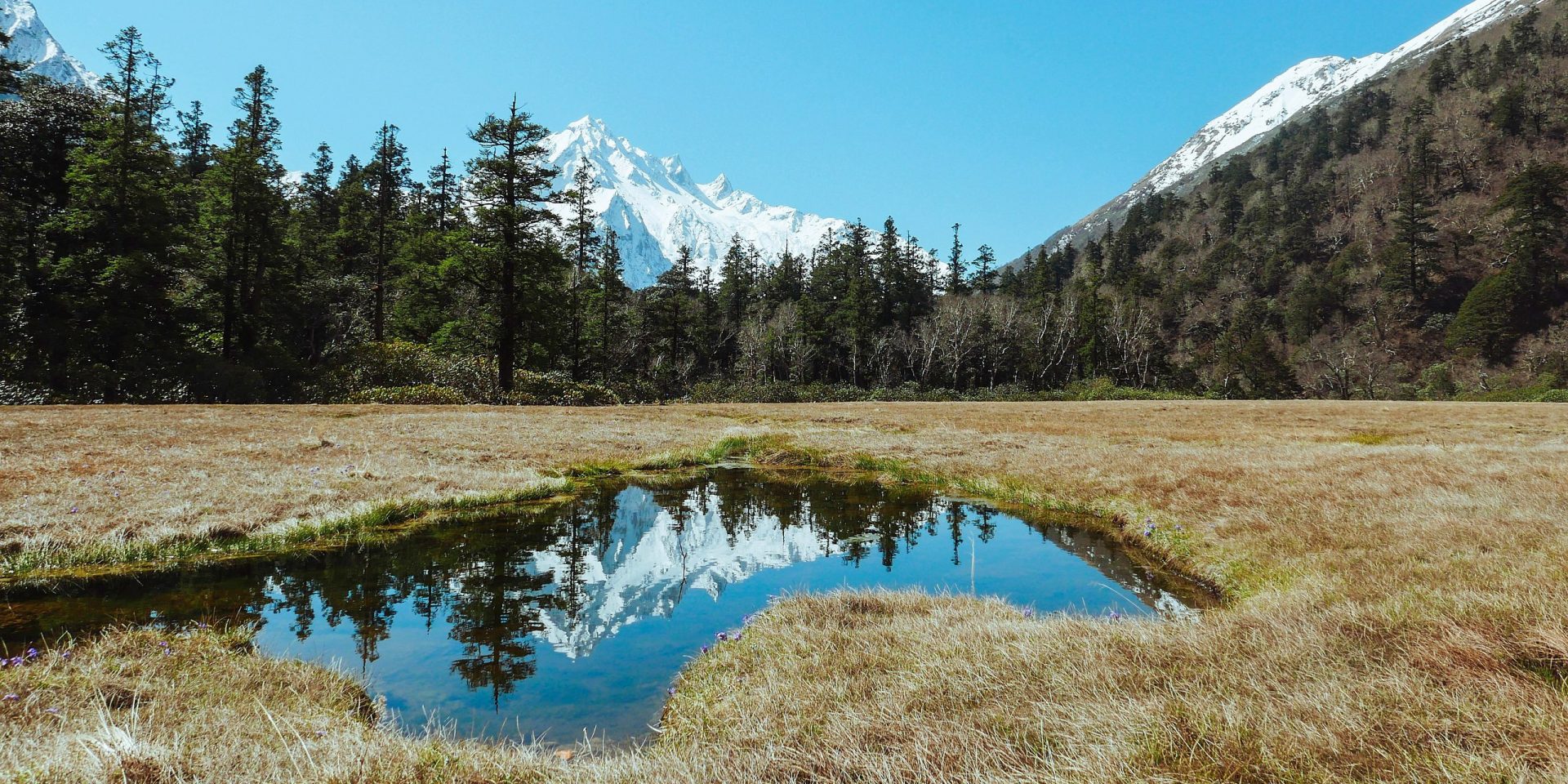 Nepal’s Conservation Areas: A guide to nature lovers